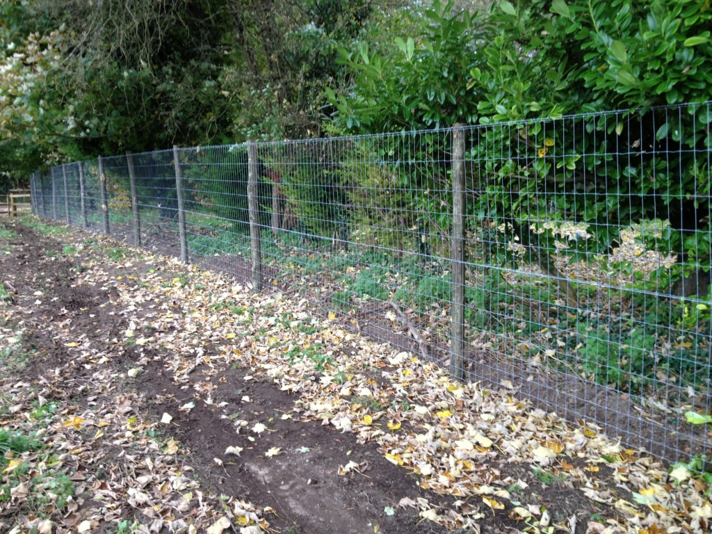 Wire Fencing - Richard Stubbs Fencing Services