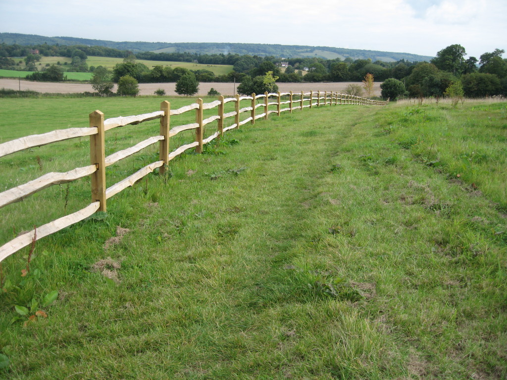 cleft chesnut post and rail surrey sussex hampshire - Richard Stubbs ...