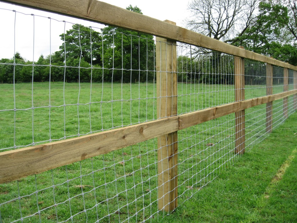 sawn-post-and-rail-with-horse-netting1 - Richard Stubbs Fencing Services